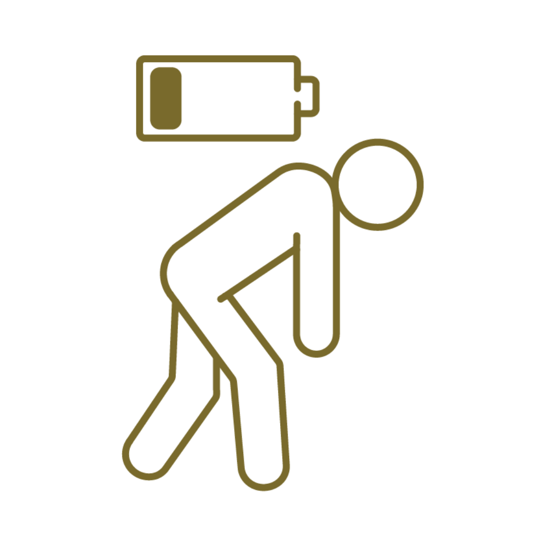 Wellness Appointments